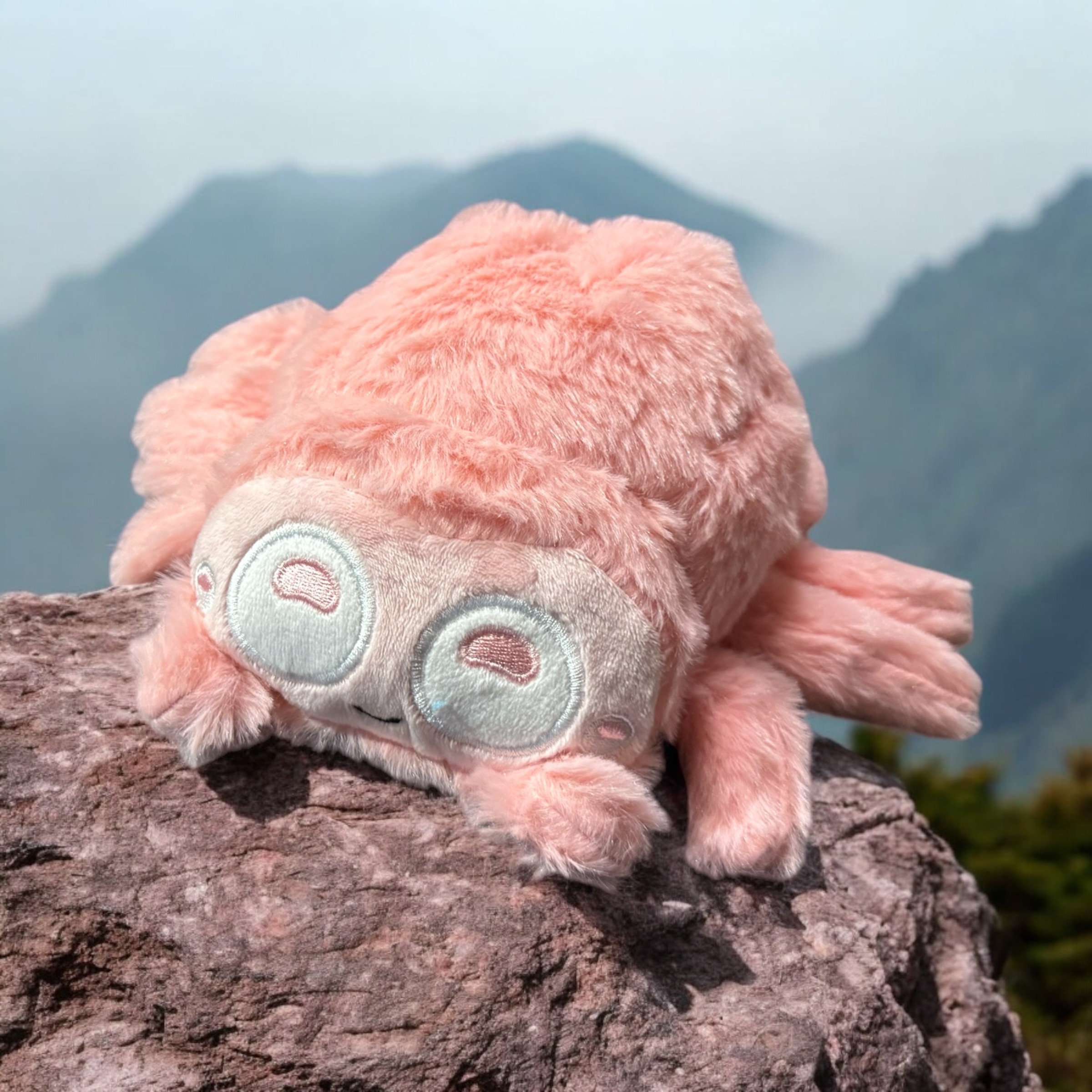 Jumping Spider Stuffed Animal | Cuddly Critter Creations