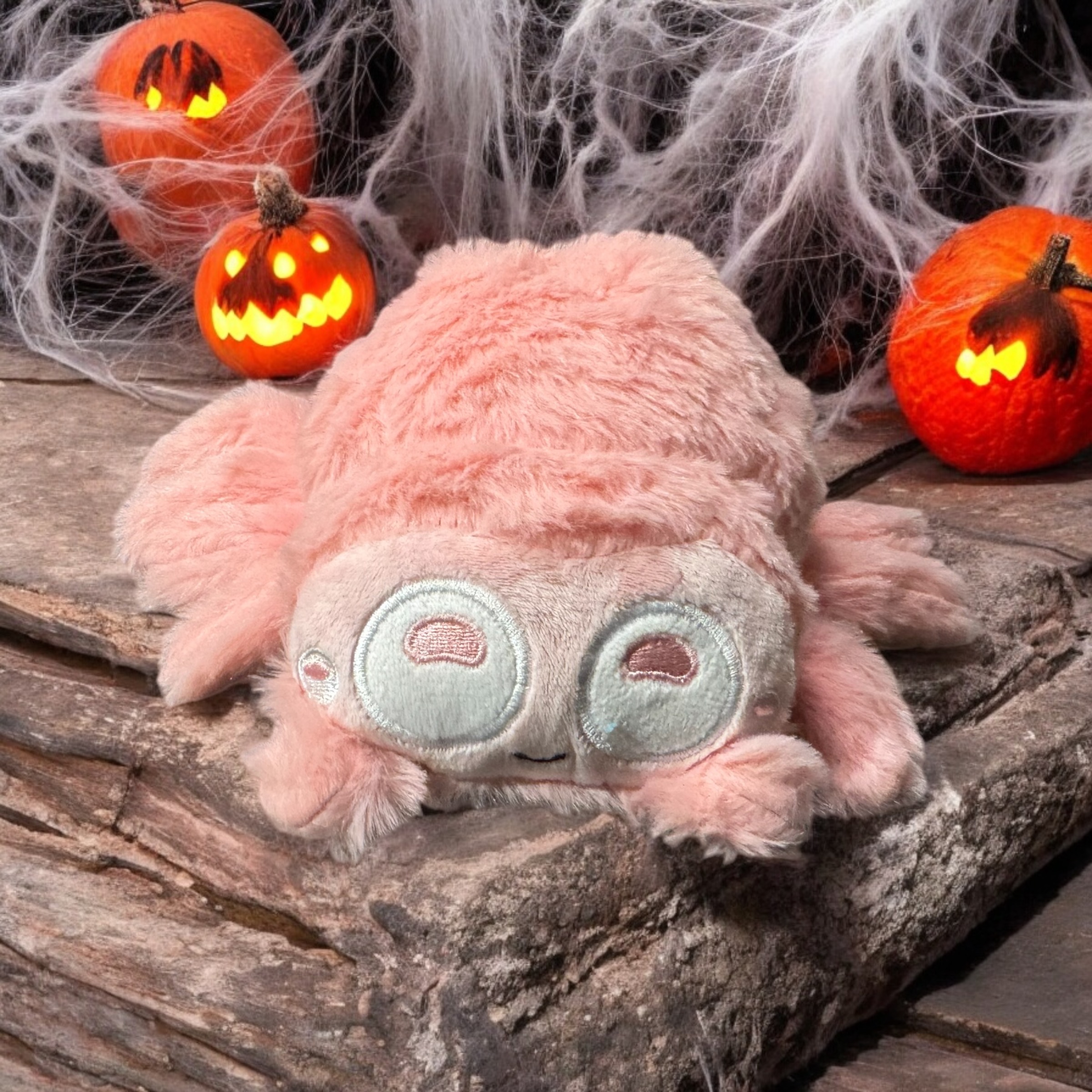 Jumping Spider Stuffed Animal | Cuddly Critter Creations